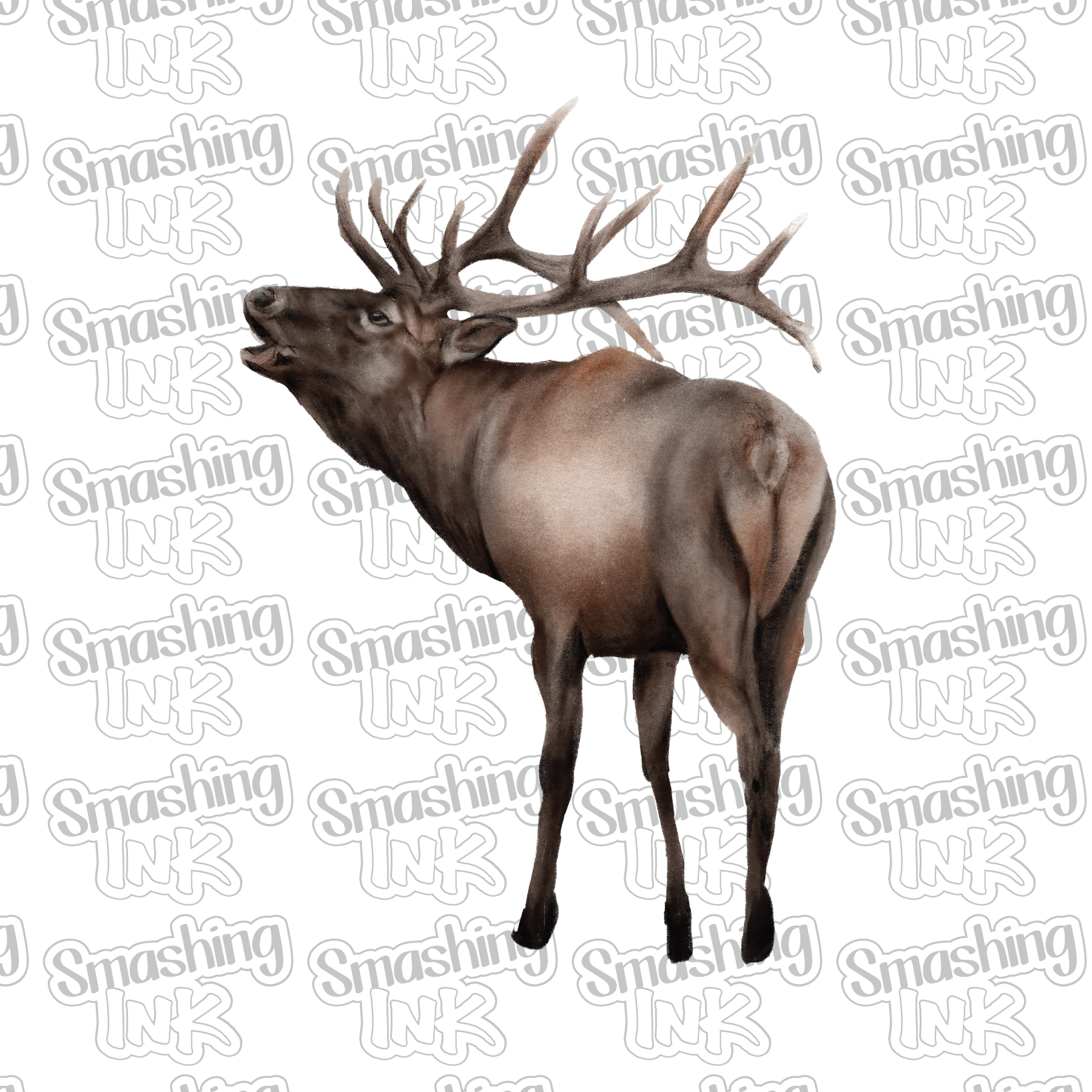 Elk Bugling - Heat Transfer | DTF | Sublimation (TAT 3 BUS DAYS) [6L-6 ...